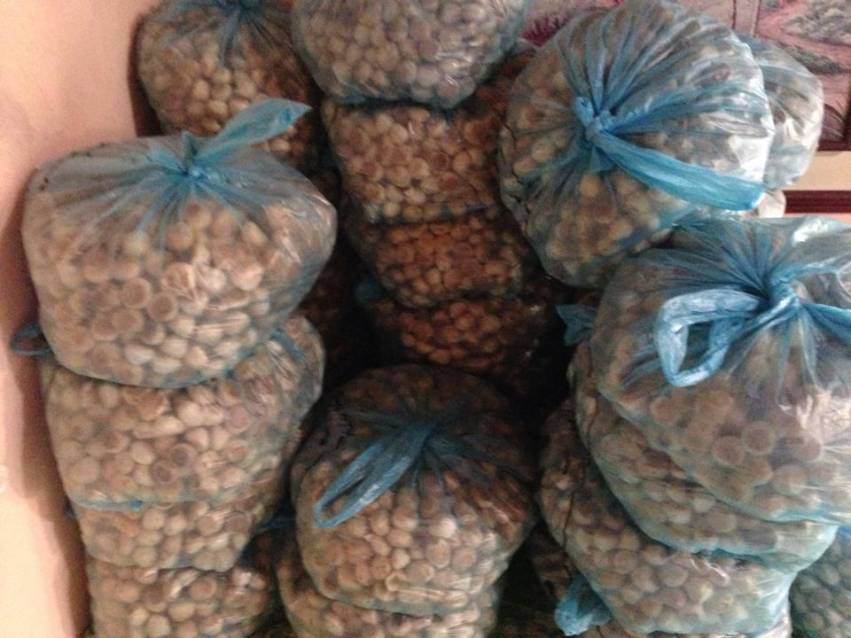 Diabolín o Yabolín, Orgullo de mi Sabana - La Guía de Sincelejo